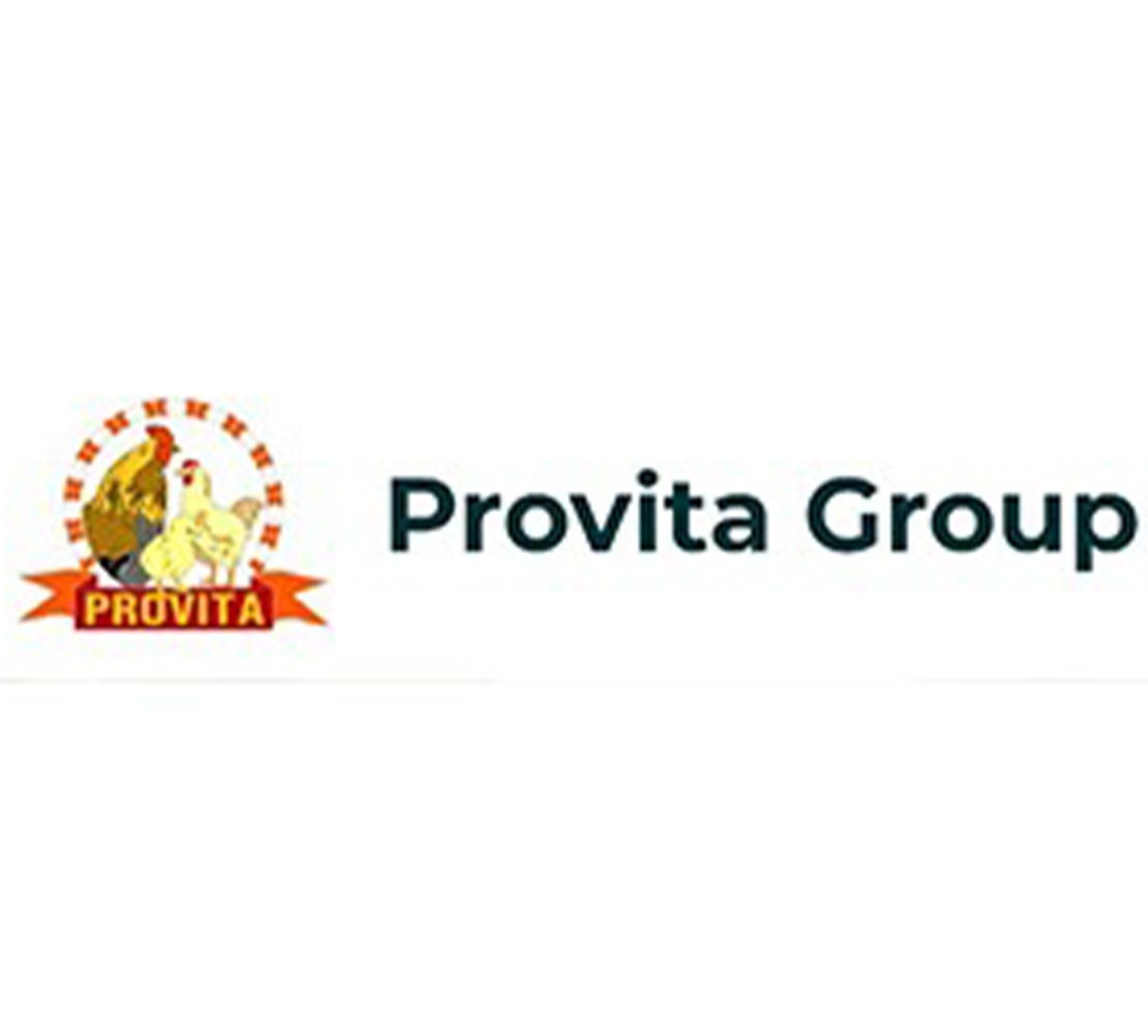 Provita Group – Egyptstone for Mining and Supplies